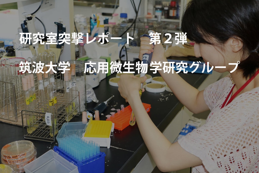 【筑波大学生物資源学類レポートno3】応用微生物学研究グループ 研究内容に迫る！ 理系女子のwebメディアrikejocafe