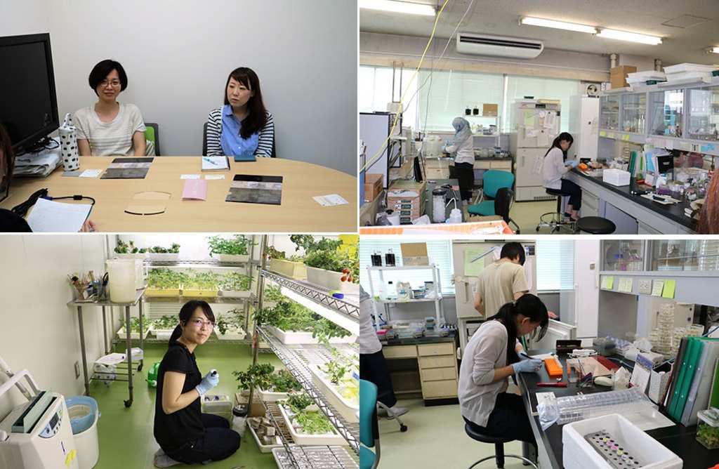 【筑波大学生物資源学類レポートno5】女性研究者としての働き方 農林生物コース 理系女子のwebメディアrikejocafe