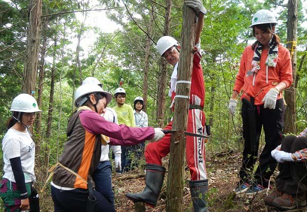 【連載】国家公務員《技術系》職員が携わる業務を紹介します⑤ 理系女子のwebメディアrikejocafe