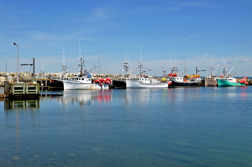 Seafoodlegacy Blog Archive 世界の大手水産企業が持続可能性にコミット!「海洋管理のための水産事業