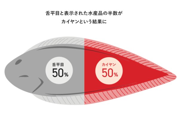 Seafoodlegacy Blog Archive レポート公開！日本市場における輸入水産物の偽装表示リスク