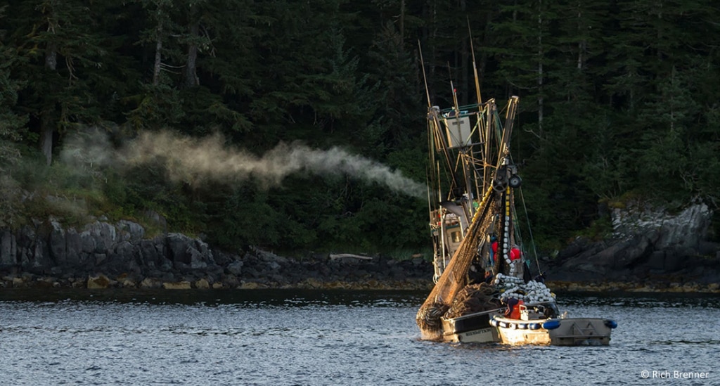 Seafoodlegacy Blog Archive 漁業改善計画(fip)は持続可能な水産物の需要を満たすために必要