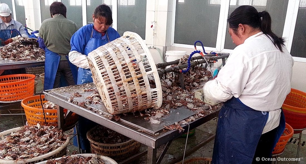 Seafoodlegacy Blog Archive 中国初の漁業改善プロジェクトへの合意・発足へ Seafoodlegacy