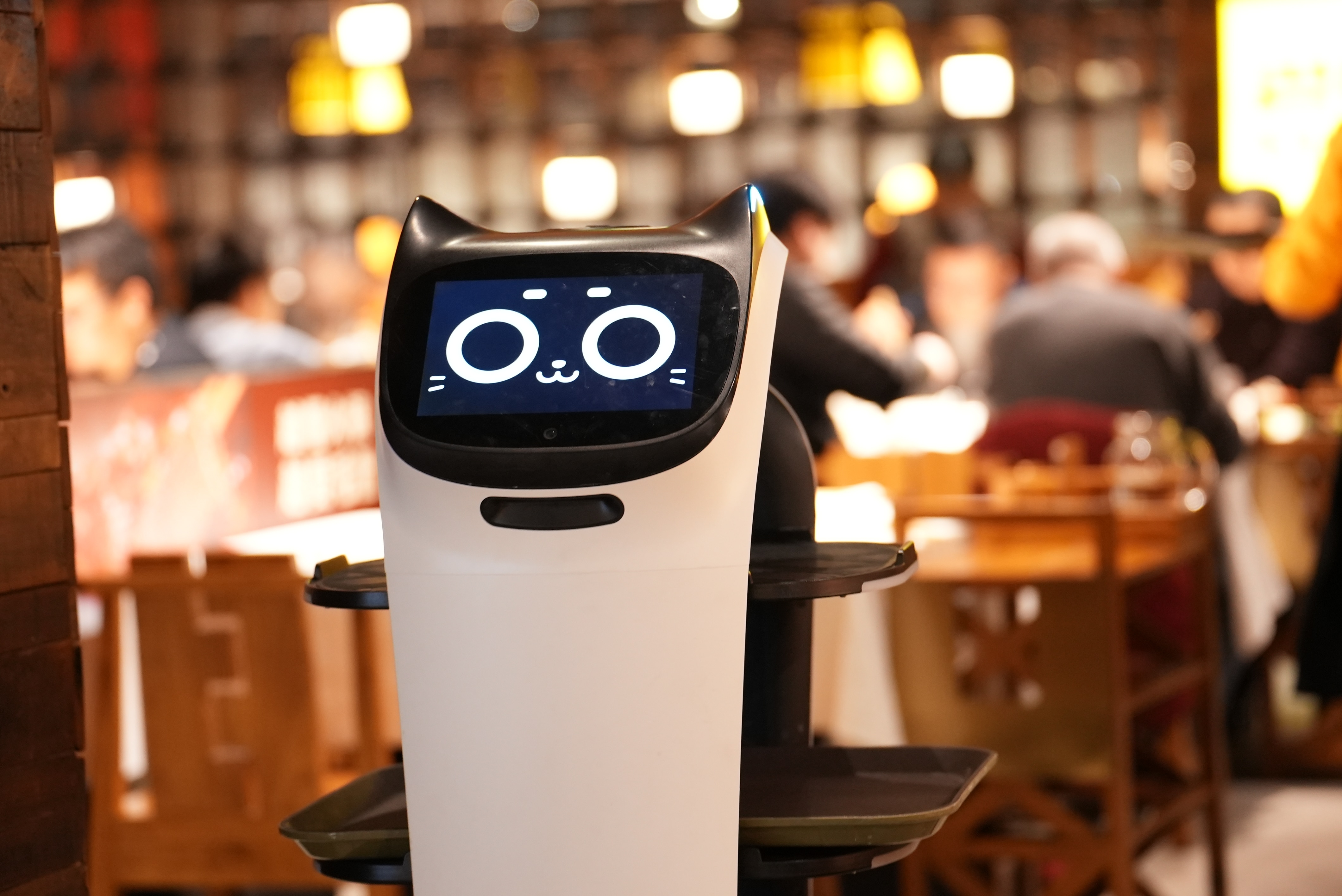 CATBO®36 (キャトボ®36) | 製品情報|株式会社ジャロック|取扱 CATBO®36 (キャトボ®36) | 製品情報|株式会社ジャロック|取扱