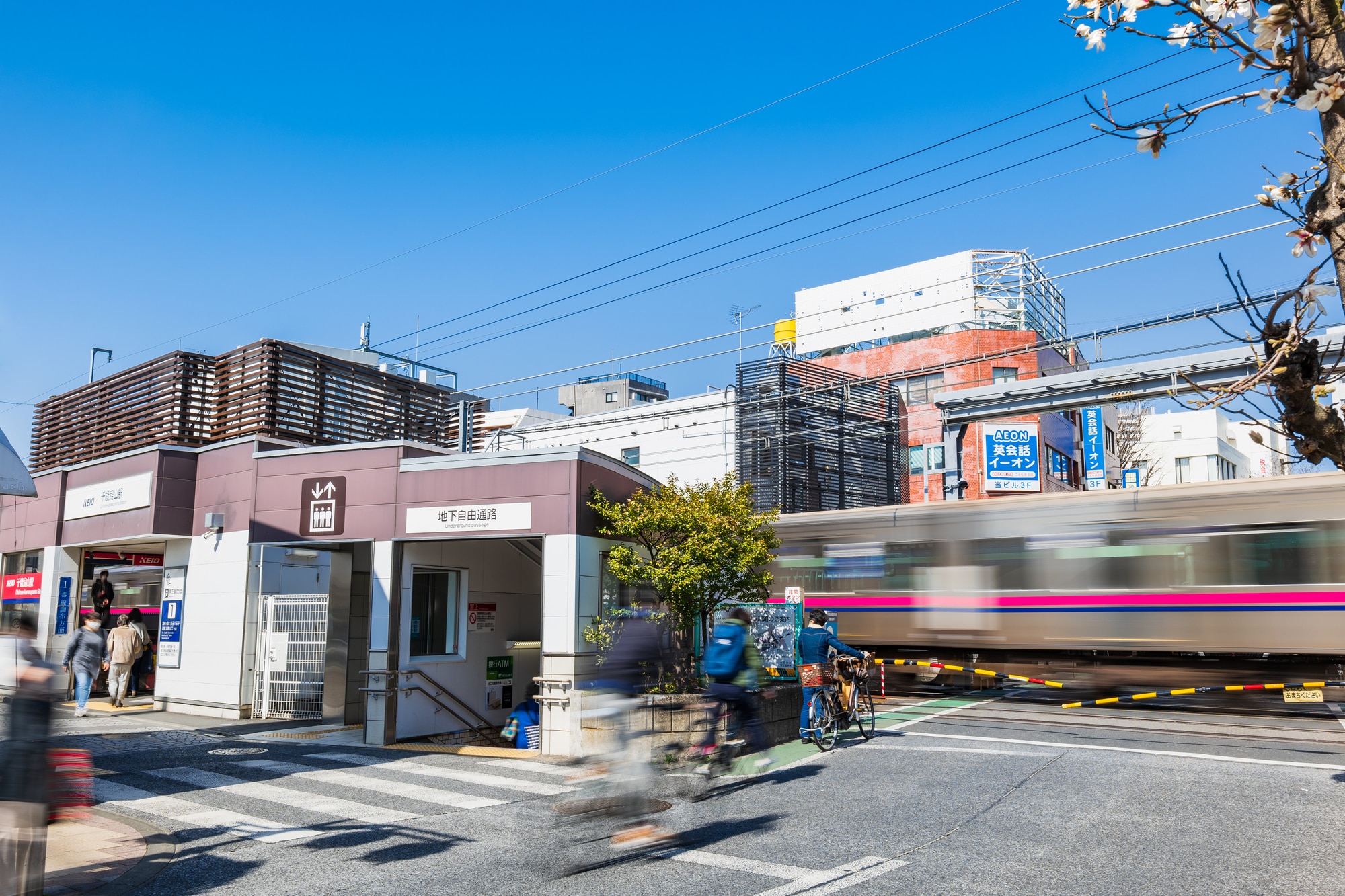 【イベントレポート】inpex 技術研究所見学ツアー 2022 理系女子のwebメディアrikejocafe