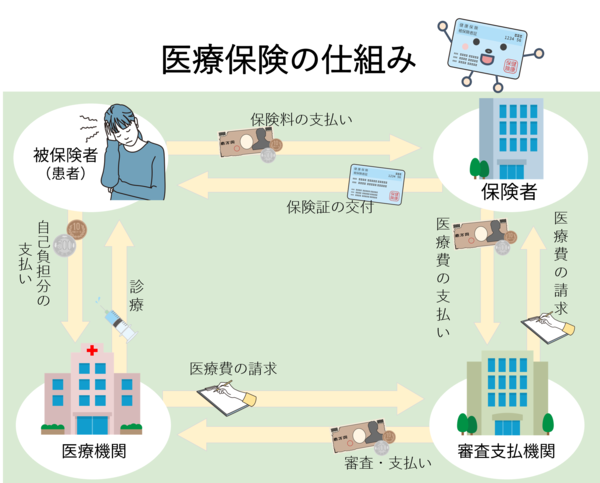 保険者・被保険者とは？いまさら聞けない医療保険制度の基本をわかりやすく解説 Jmdc Stories