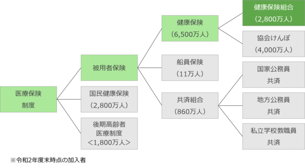 保険者・被保険者とは?いまさら聞けない医療保険制度の基本をわかりやすく解説 Jmdc Stories
