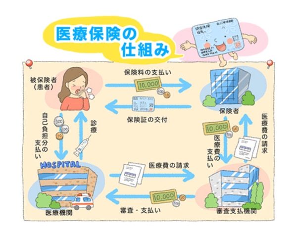 保険者・被保険者とは?いまさら聞けない医療保険制度の基本をわかりやすく解説 Jmdc Stories